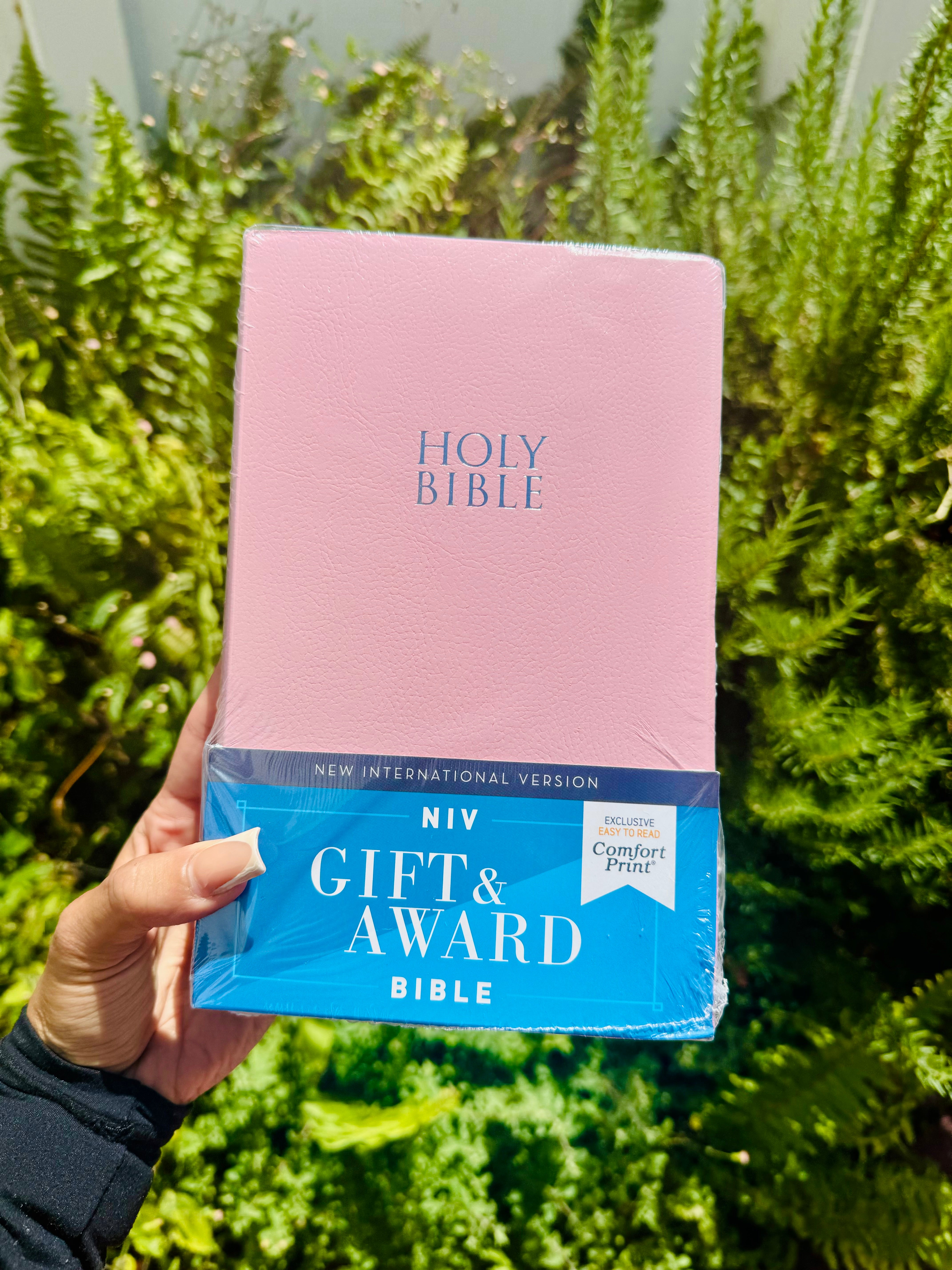 Pink NIV Bible – Lost & Found
